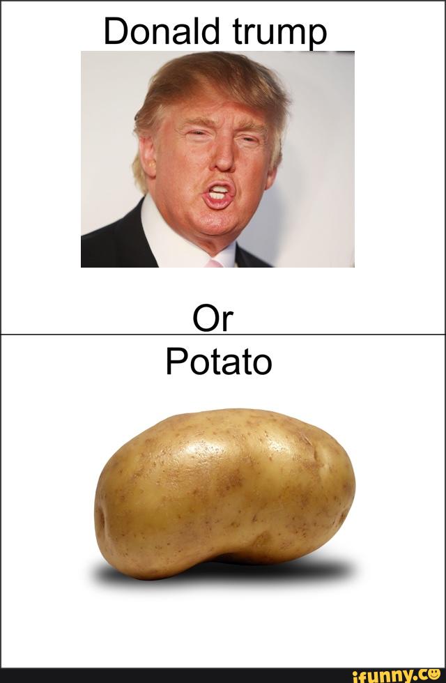 trump-potato-feat | Catch a Falling Star