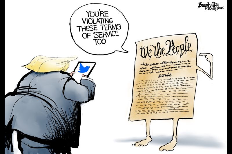 Polly Ticks | Catch a Falling Star