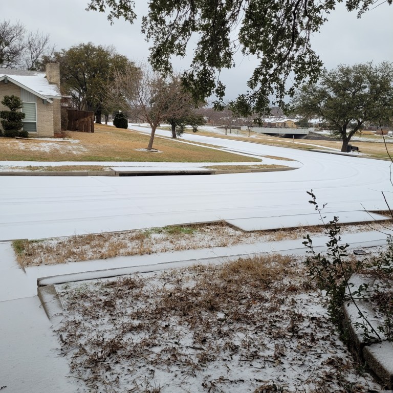 Snow Babies | Catch a Falling Star